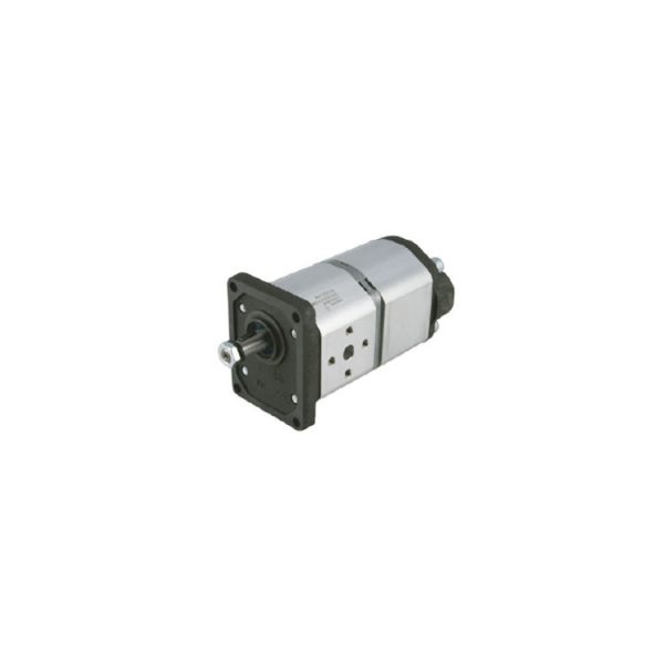 ALPC 2/ GHPC 2 Series Short Multiple Gear Pumps – Teyseer Industrial ...